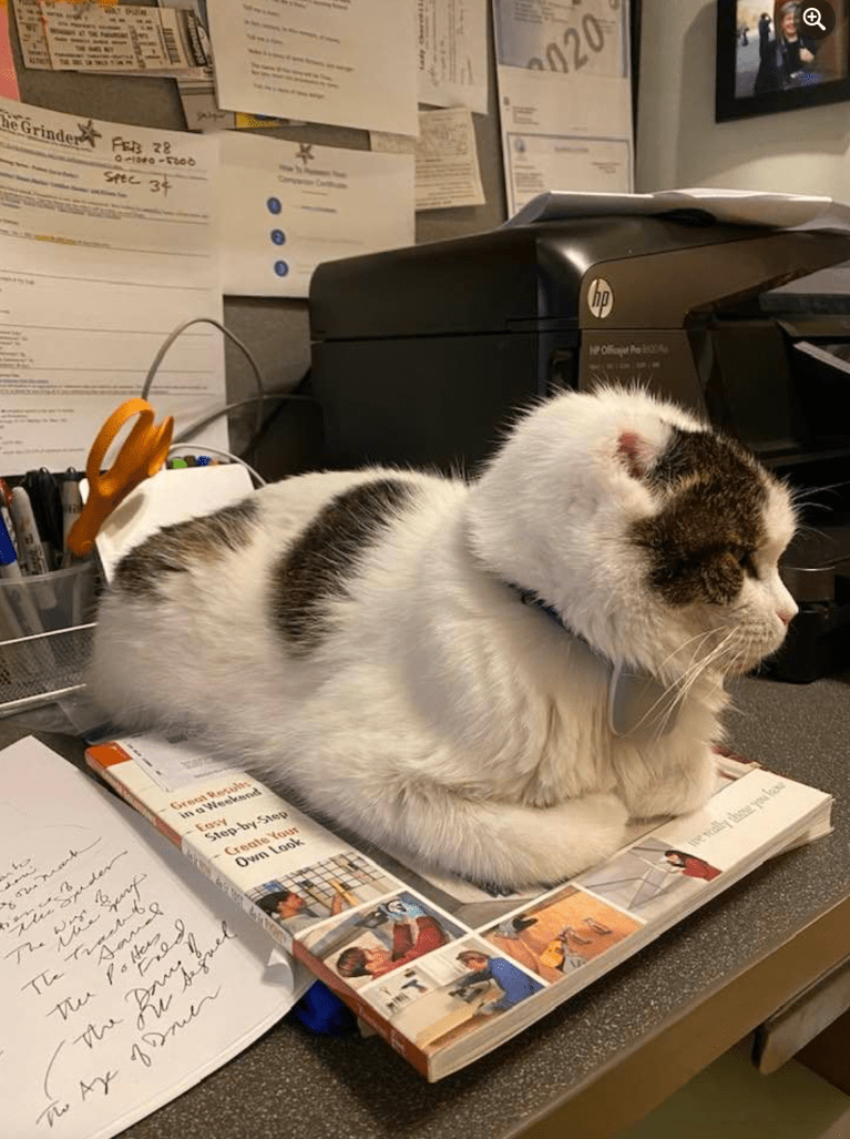 Mr. Tippy | Mr. Tippy and his friends