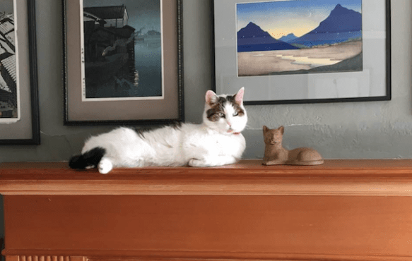 Mr. Tippy | Mr. Tippy and his friends