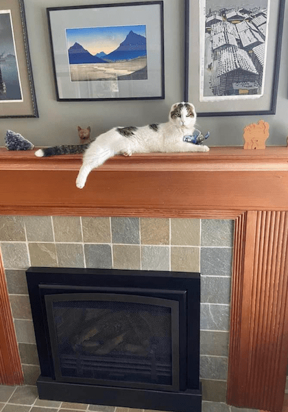 Mr. Tippy | Mr. Tippy and his friends