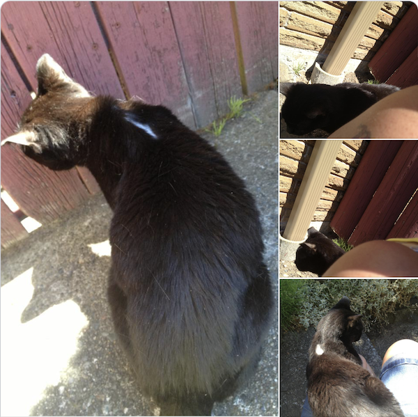 Mabel | Mr. Tippy and his friends