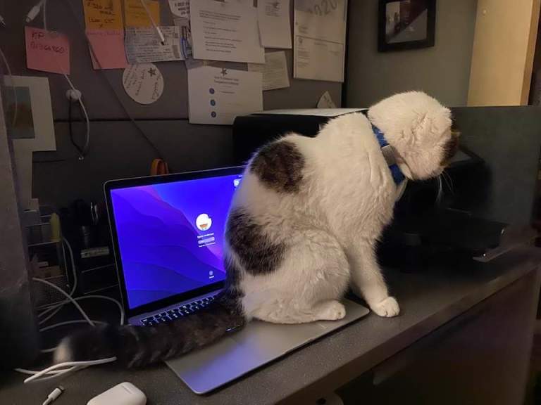 Mr. Tippy | Mr. Tippy and his friends