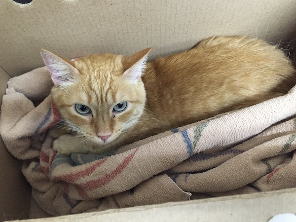 Perdita | Mr. Tippy and his friends