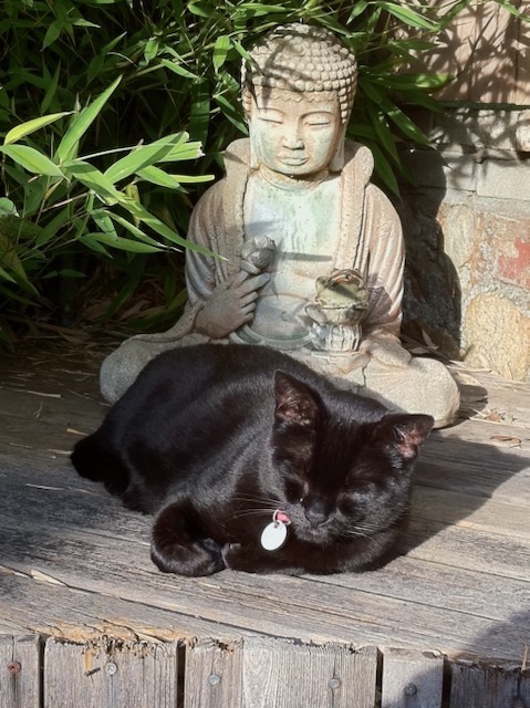 Mabel | Mr. Tippy and his friends