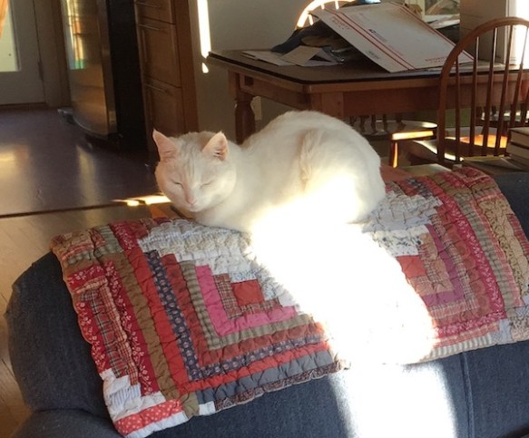 Mr. Tippy | Mr. Tippy and his friends