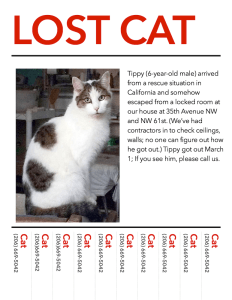 Mr. Tippy | Mr. Tippy and his friends